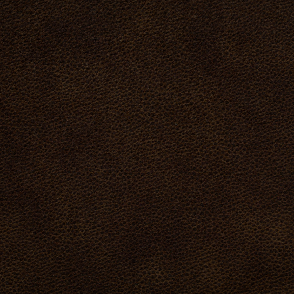 Stingray Java – Michael Jon Designs